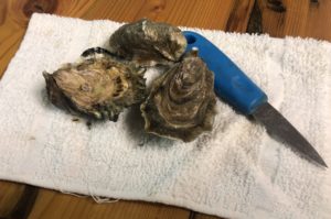 Community Shellfish Farms - Puget Sound Restoration Fund