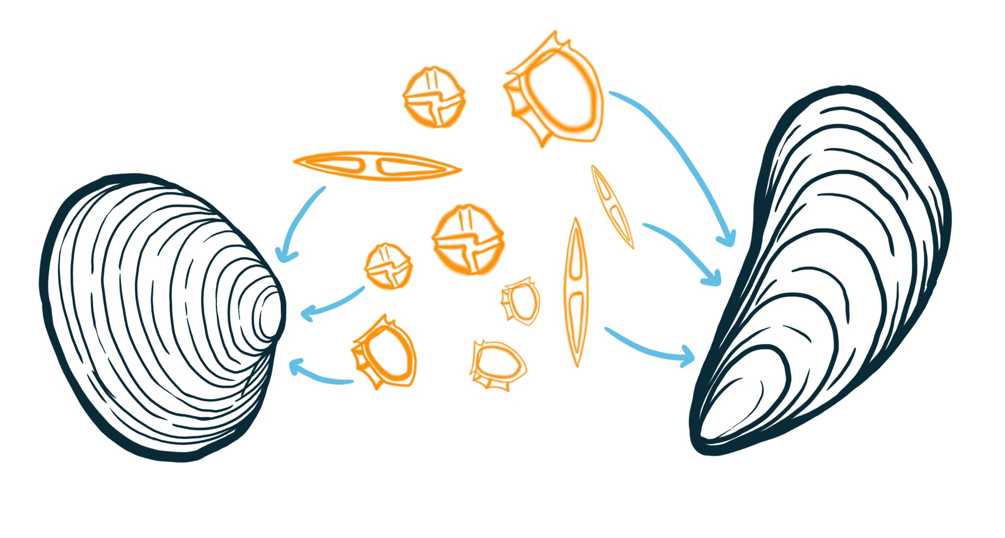 Shellfish Biotoxin Monitoring - Puget Sound Restoration Fund