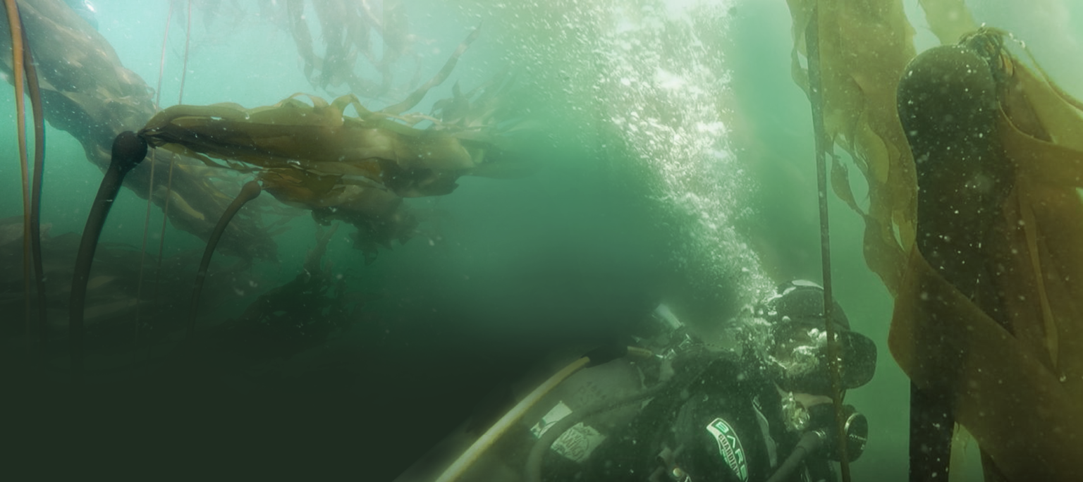 Eyes on Kelp - Puget Sound Restoration Fund