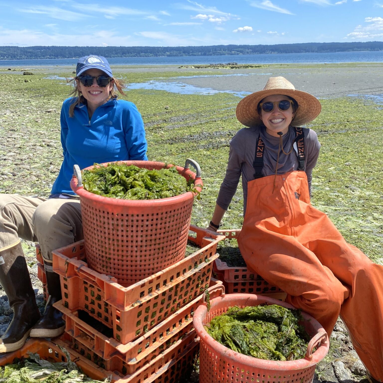 Sea-Land - Puget Sound Restoration Fund